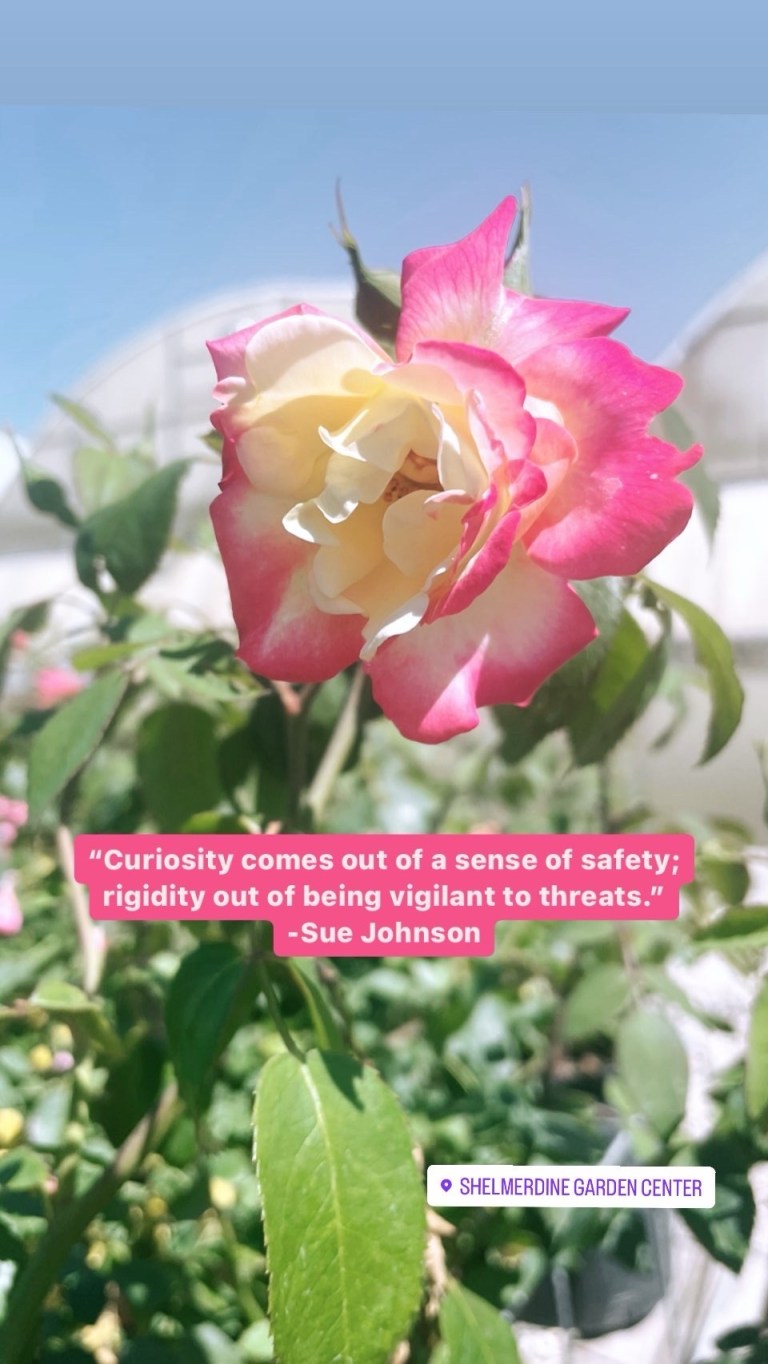 Gallery – JACQUI FOX, RMFT