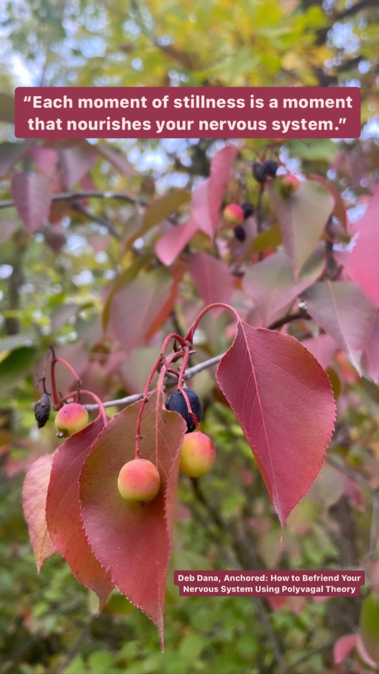 Gallery – JACQUI FOX, RMFT