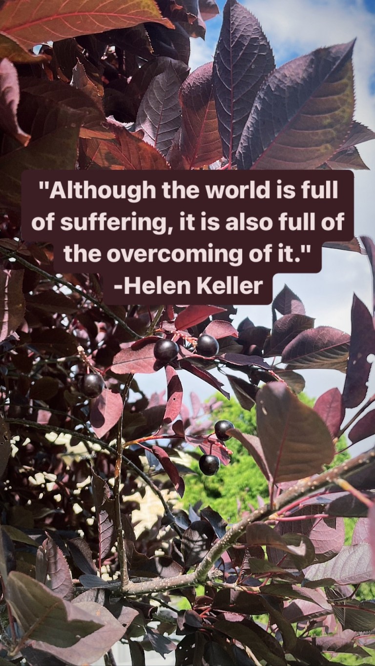 Gallery – JACQUI FOX, RMFT