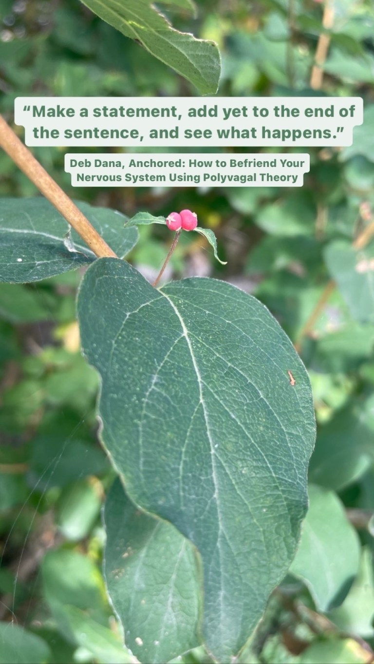 Gallery – JACQUI FOX, RMFT