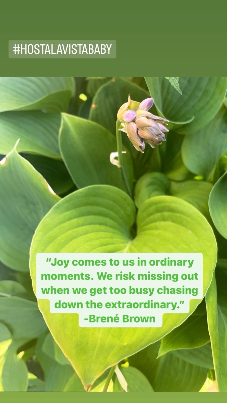 Gallery – JACQUI FOX, RMFT