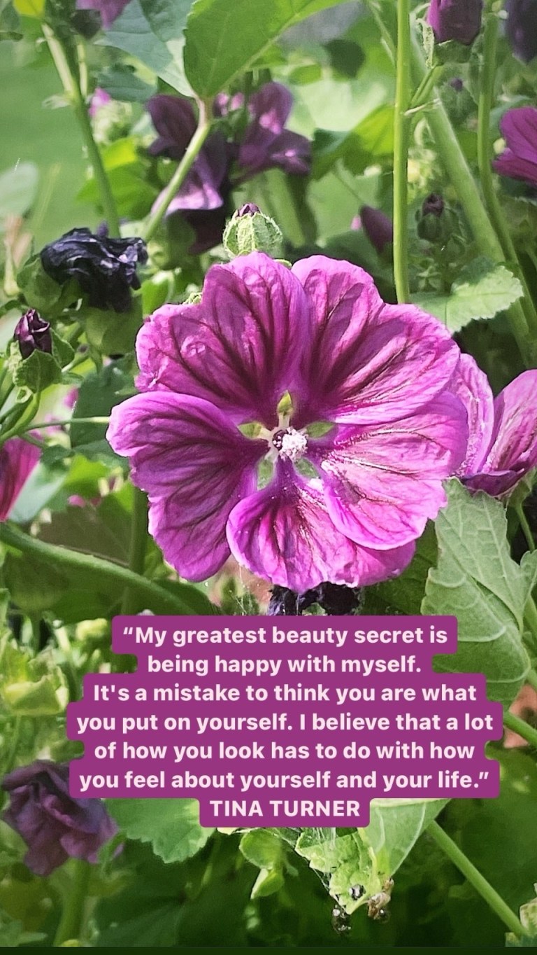 Gallery – JACQUI FOX, RMFT