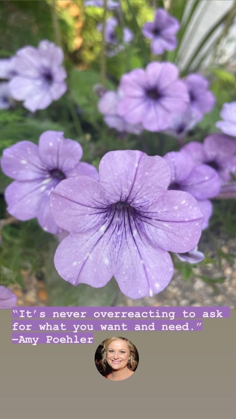 Gallery – JACQUI FOX, RMFT