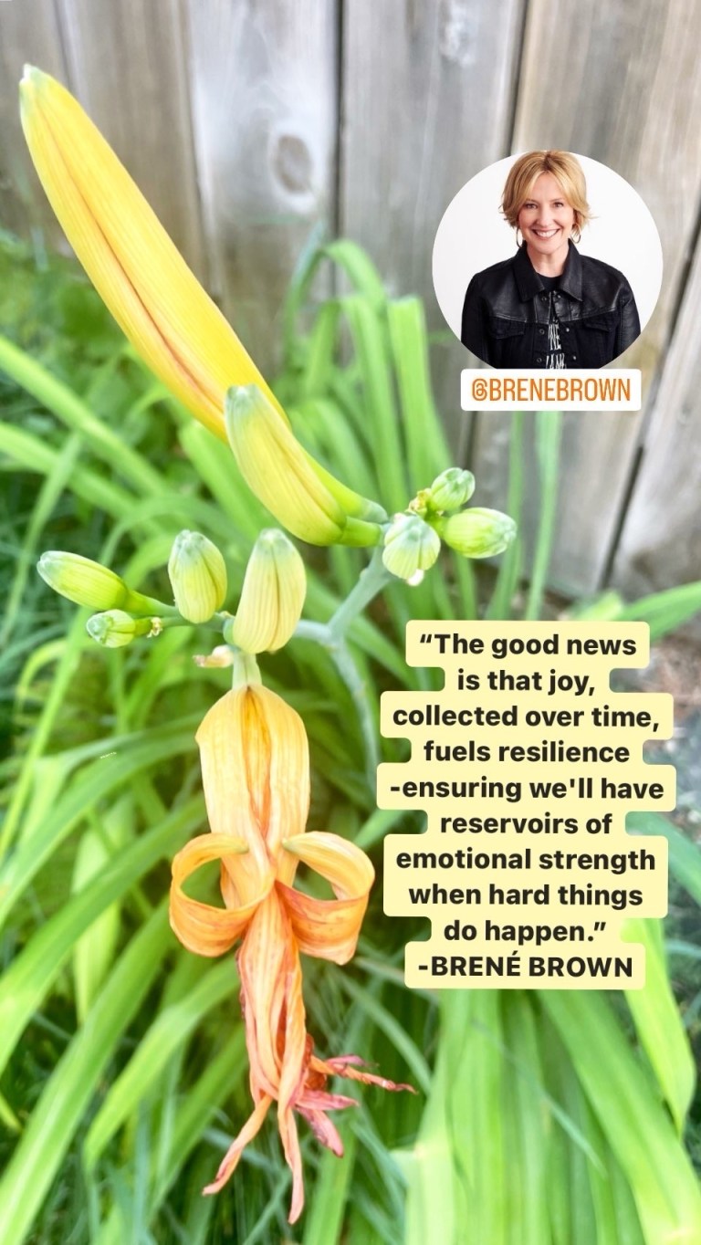 Gallery – JACQUI FOX, RMFT