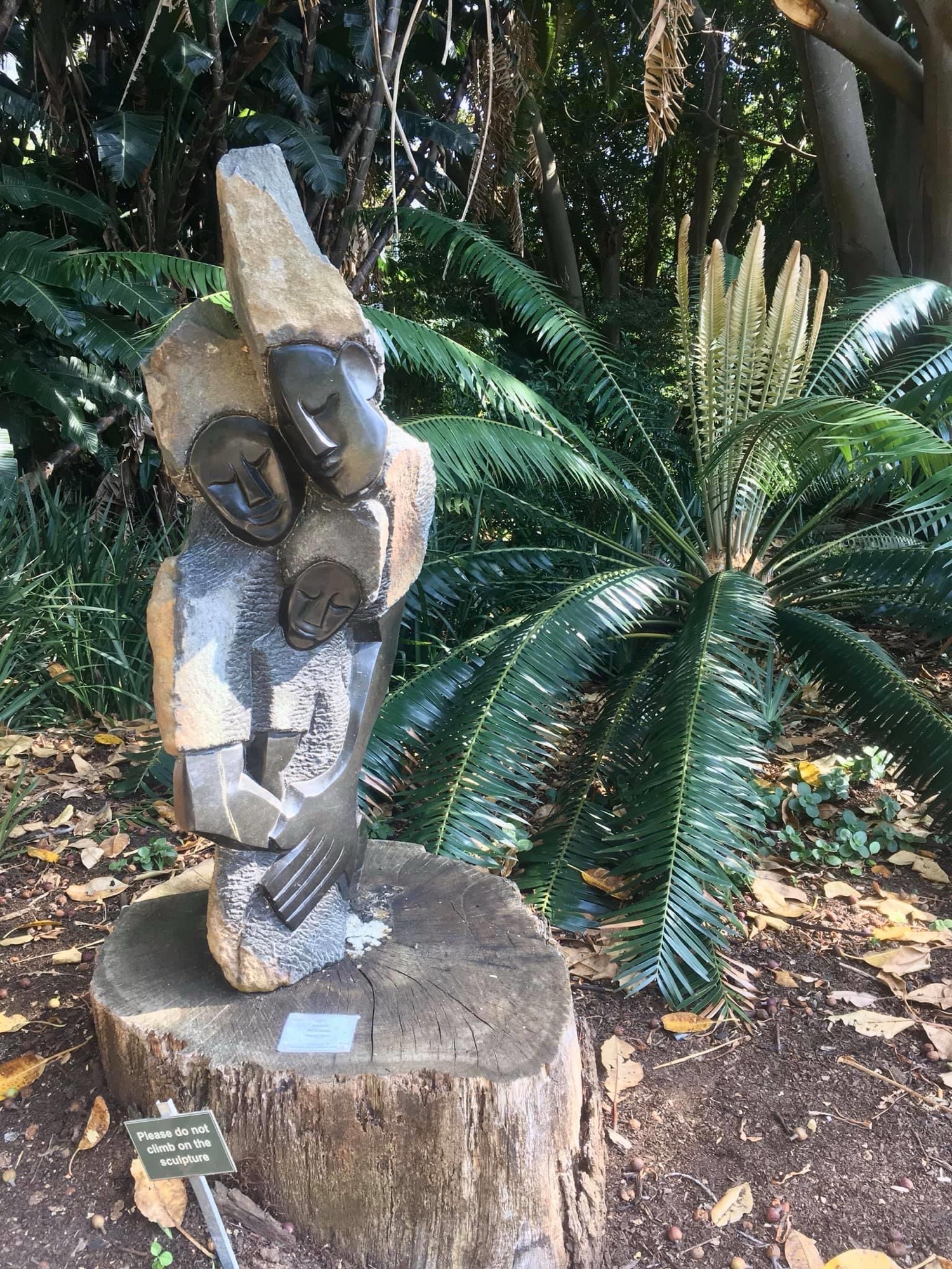 About: Experience/Scope – JACQUI FOX, RMFT