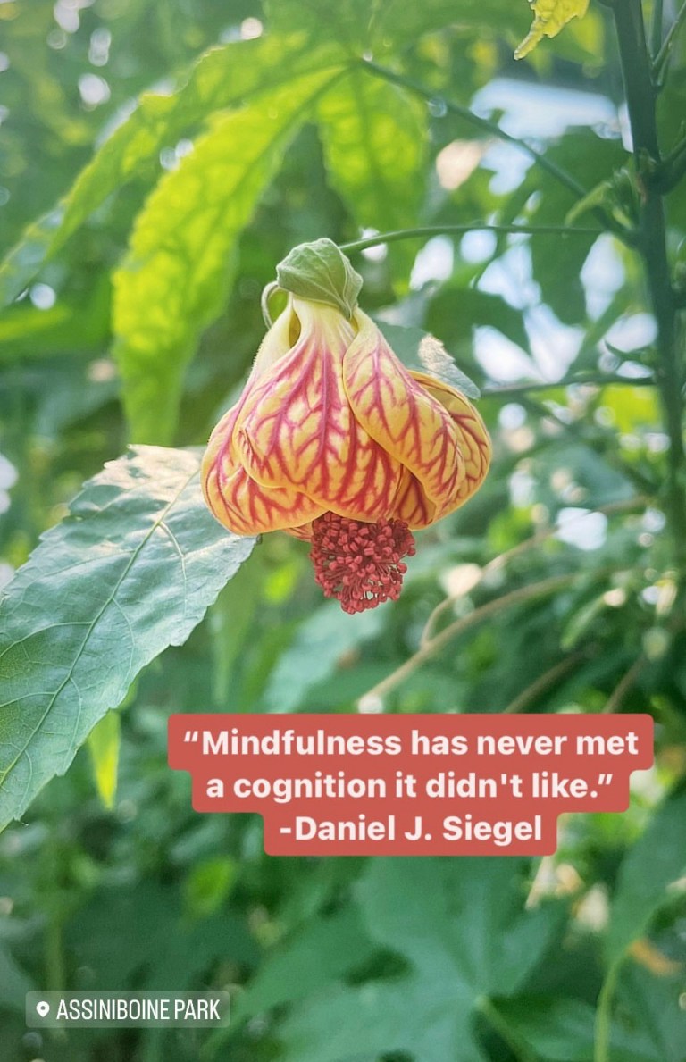 Gallery – JACQUI FOX, RMFT